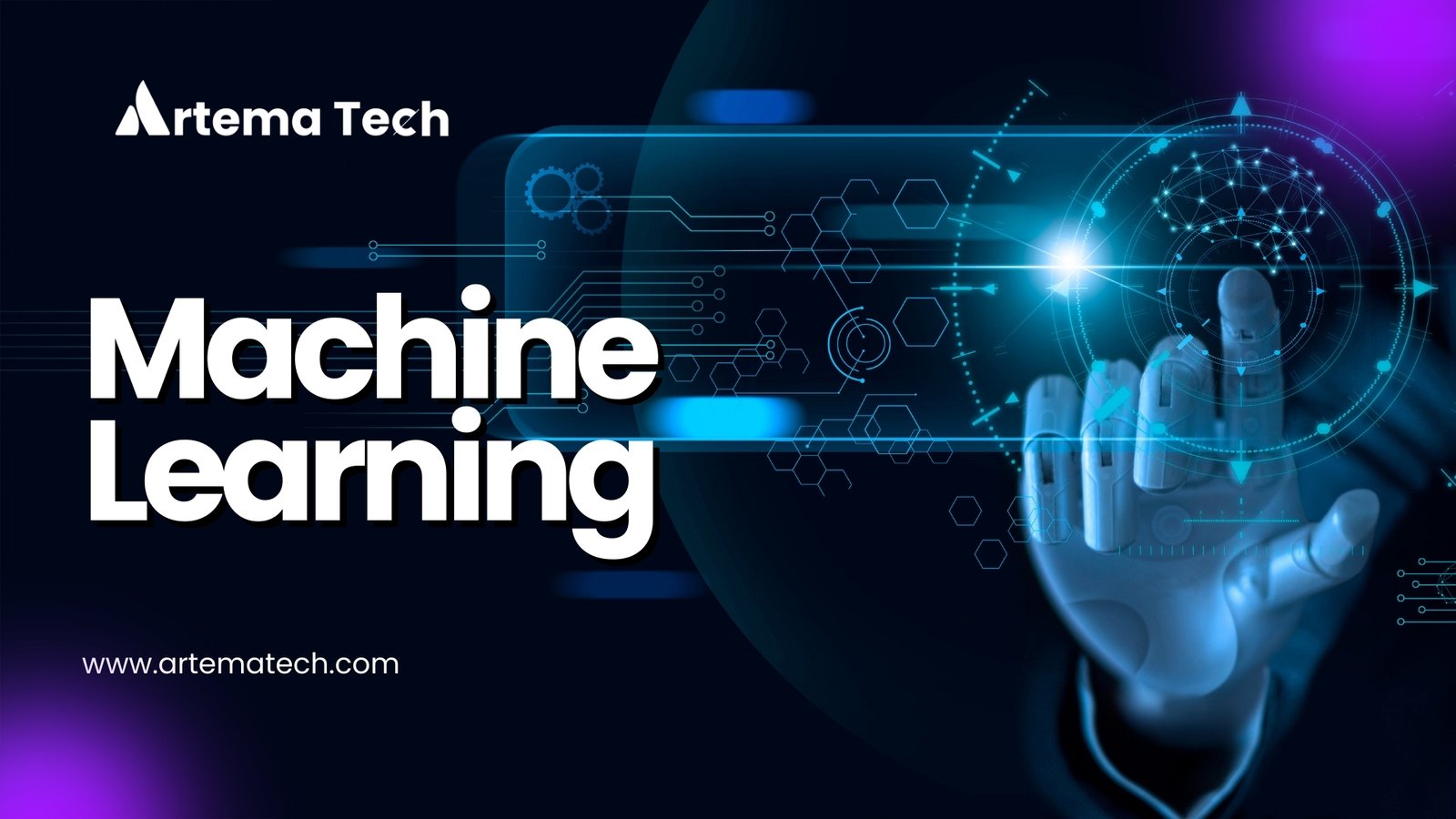 An Inclusive Approach to Machine Learning Development Services